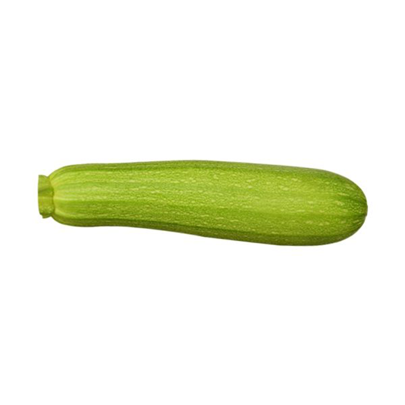 Zucchini
